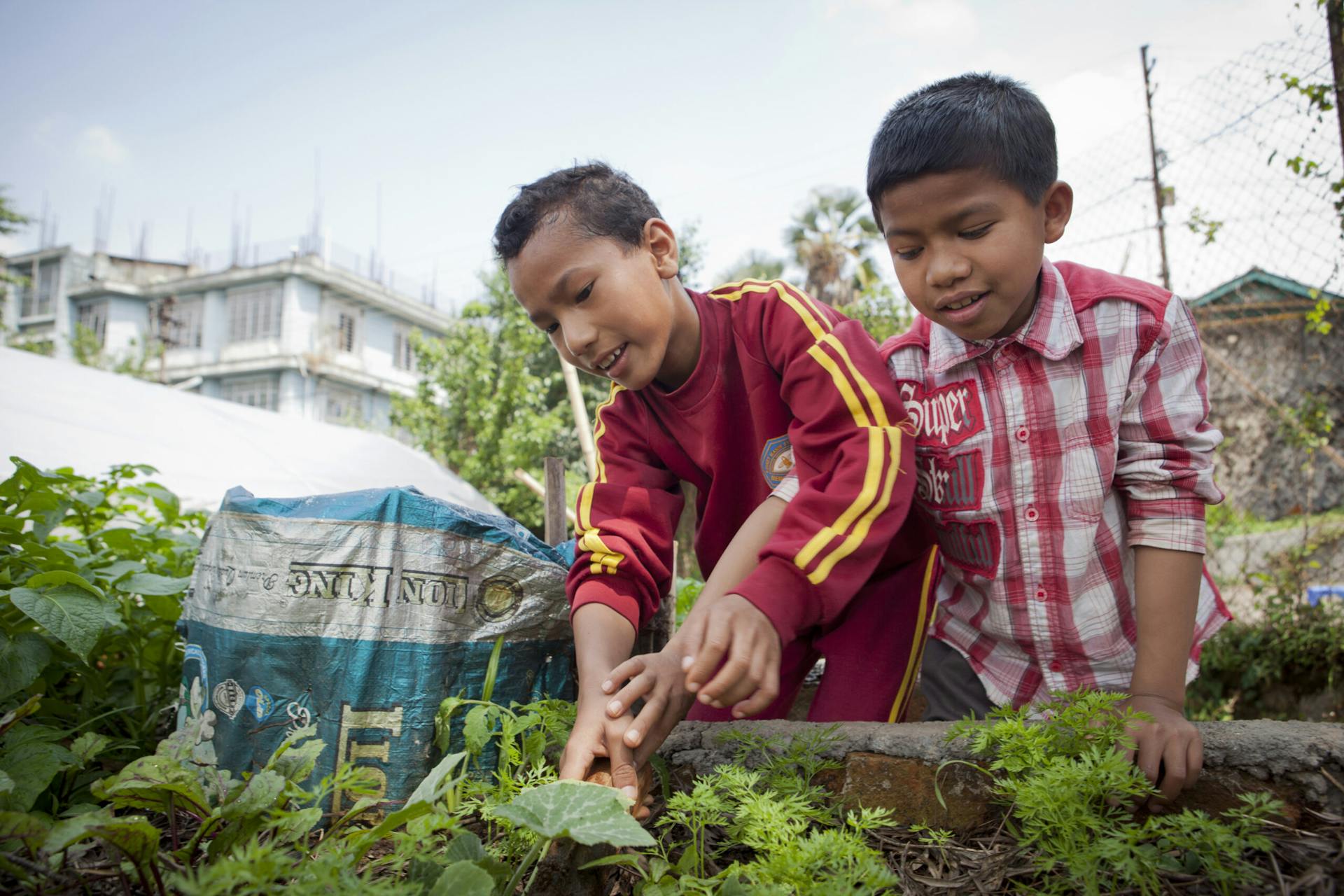 Liliane Fonds | Open the world for a child with a disability